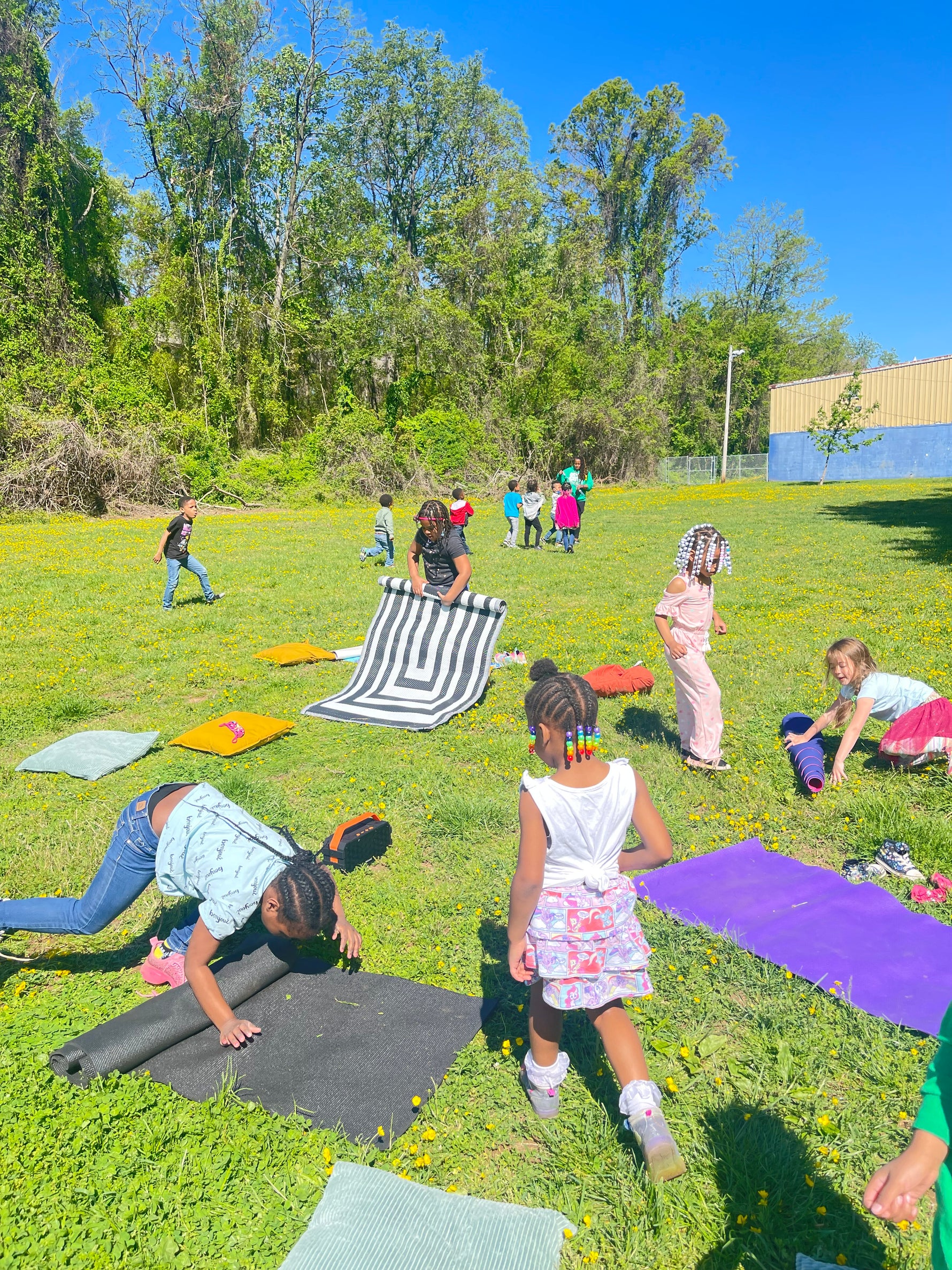 Divine Alignment Wellness